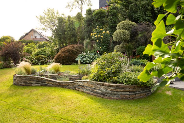 Bohl Inselbeet Gingko - Ommertalhof | Gartenmanufaktur und Landschaftsbau